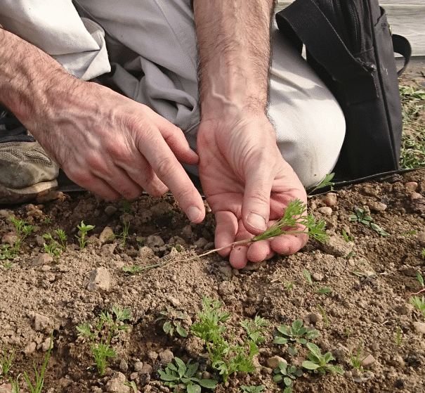 Cyclo-farm à Rosporden - Finistère - LePotiron.fr